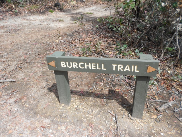 Burchell Trail – Brisbane Ranges National Park – Victoria | The Lone ...